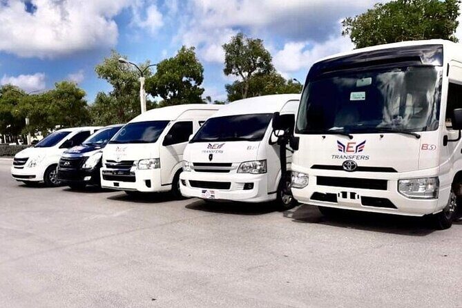 Airport Transfers to Punta Cana / Bavaro and Uvero Alto Hotels - Why Choose This Transfer?