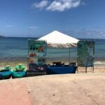 All-Day Paddleboard Rental  Fajardo, Puerto Rico - The Practicalities
