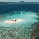 All-Inclusive Cayo Arena Day trip from Santo Domingo - What Travelers Say: Honest Perspectives