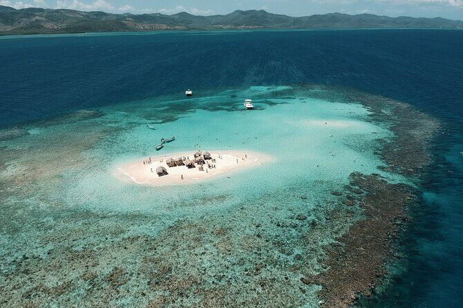 All-Inclusive Cayo Arena Day trip from Santo Domingo - What Travelers Say: Honest Perspectives