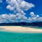 All Inclusive Day Sail to Soggy Dollar Bar, White Bay, JVD - An In-Depth Look at the Day Sail Experience