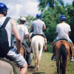 All-Inclusive Day Trip from Punta Cana: DR Culture Immersion - What Reviews Tell Us