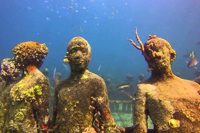 ALL INCLUSIVE Full Day snorkeling & sunset cruise with boat dogs - Authentic Traveler Reviews: What They Love and What to Consider