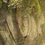 ALL INCLUSIVE Tour through the Water Trail "La Plaza" - Who Should Consider This Tour?