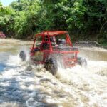 Amber Cove Buggy Tour with Swimming and Tasting - The Sum Up: Is It Worth It?