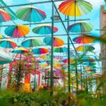 Amber cove & Taino bay - Puerto plata city tour - shore Excursion - The Sum Up