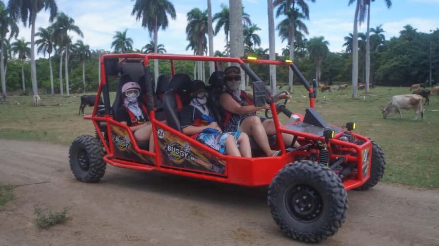 AMBER COVE TAINO BAY Super Buggy Tour - Practical Details and Logistics