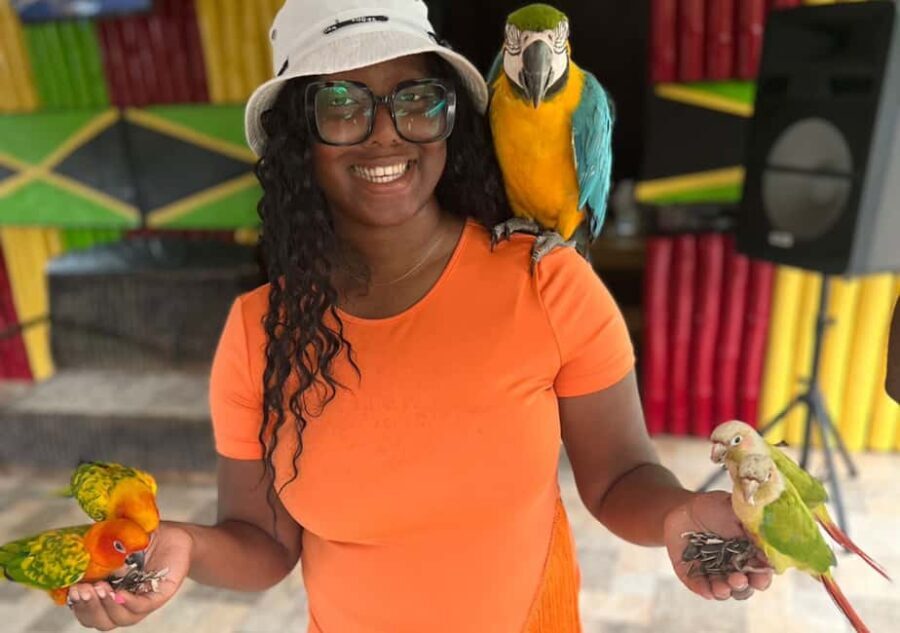 Animal & Bird Farm with Private Transport - Why This Tour Offers Good Value