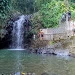 Annandale waterfall & Forest Park - What to Expect on the Tour