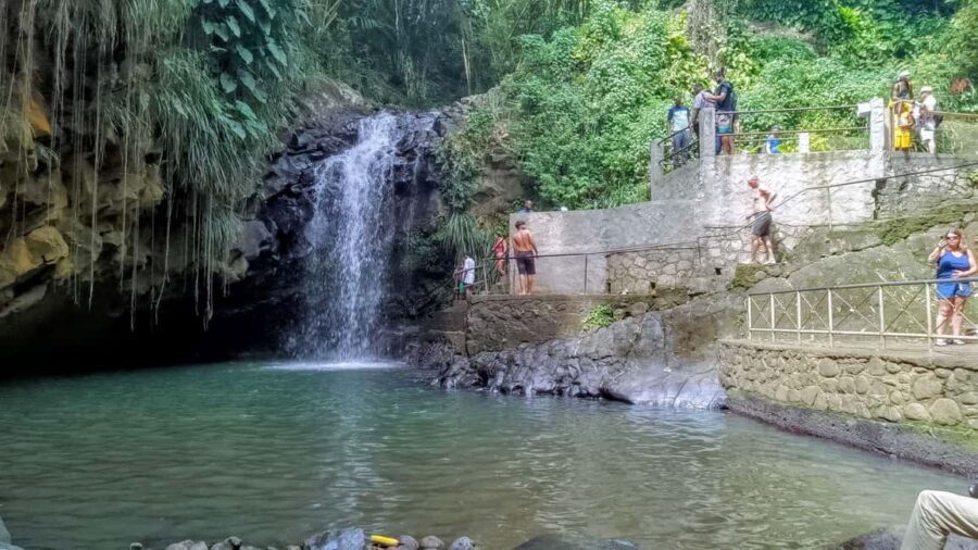 Annandale waterfall & Forest Park - What to Expect on the Tour
