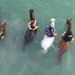 Antigua Horse Ride and Swim - What Makes This Experience Special?