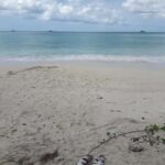 Antigua: Horseback Riding at Royalton or Dickenson Bay - Who Should Consider This Tour