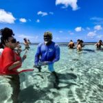 Antigua: Stingray City Experience with Round-Trip Transfer - Who This Tour Is Best For
