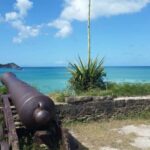 Antiguan experience home tour with local guide with lunch - A Well-Balanced Look at the Tour