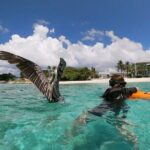 Antilla Shipwreck Seabob Tour - Who Should Consider This Tour?