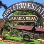 Appleton Estate Rum Factory And YS Falls Inclusive Tours From Montego Bay - Transportation & Logistics