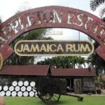 Appleton Estate Rum Tour and from Kingston - The Sum Up