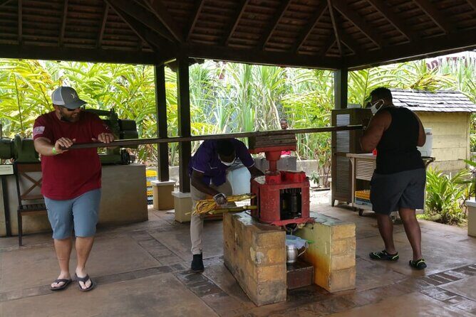Appleton Estate Rum Tour and Pelican Bar Customize Tour - Appleton Estate Rum Tour: A Dive into Jamaica’s Spirit