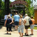 Appleton Estate Rum Tour: Full Day from Montego Bay - FAQs