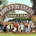 Appleton Estate, Ys Falls and Black River Safari Private Tour - Appleton Estate Rum Tour — A Taste of Jamaica’s Spirit