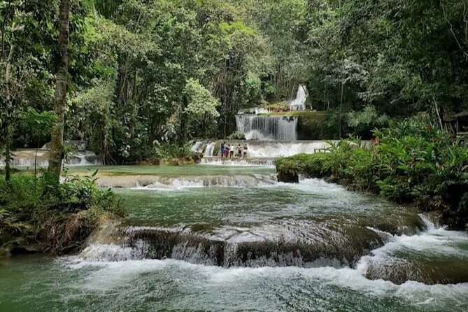 Appleton Estate, YS Falls and Pelican Bar Day Trip from Kingston - Authenticity and Experience