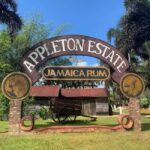 Appleton Rum Factory and Black River Safari Tour - The Black River Safari: Nature’s Calm and Crocodile Encounters