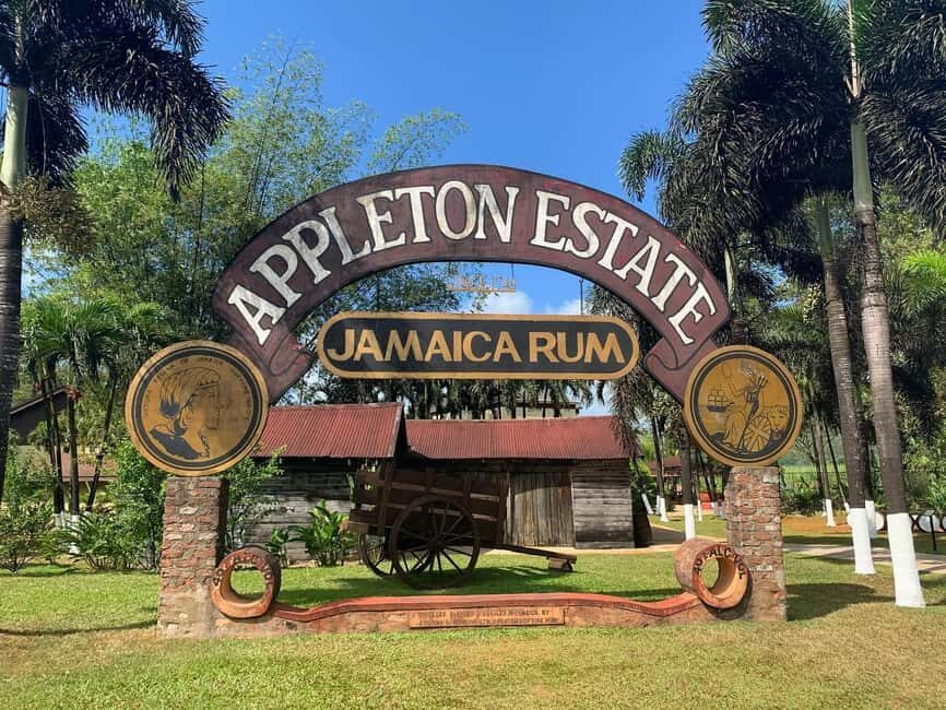 Appleton Rum Factory and Black River Safari Tour - The Black River Safari: Nature’s Calm and Crocodile Encounters