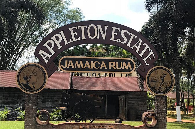 Appleton Rum Factory, YS Falls, and Reggae Horseback Ride & Swim Combo Tour - What the Reviews Say