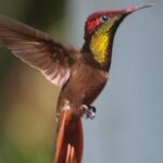 Argyle Waterfall with Adventure Farm - The Value of Guided Tours
