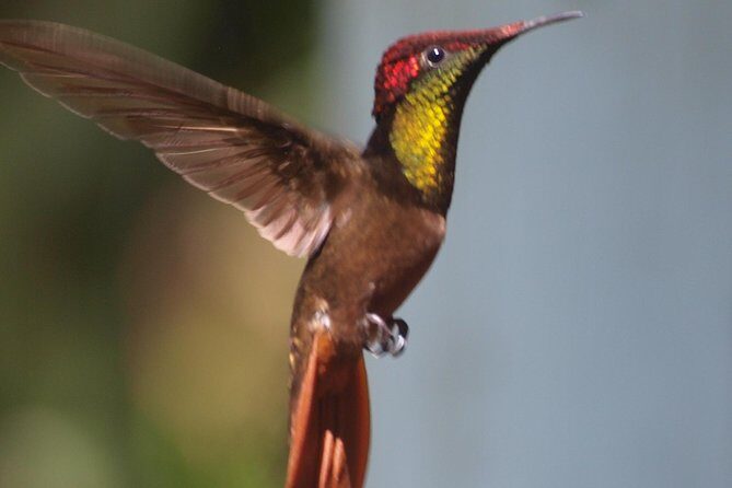 Argyle Waterfall with Adventure Farm - The Value of Guided Tours