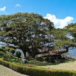 Around the Island - Transportation and Group Size