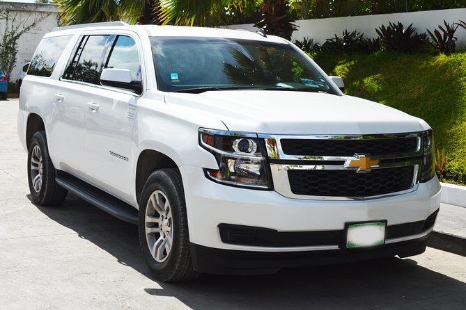 Arrival Luxury Transportation: Punta Cana International Airport to Hotels (1-5) - Whats Included and Whats Not