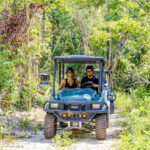 Art and Forest Way Combo Full Day Tour - Transportation, Timing, and Group Size