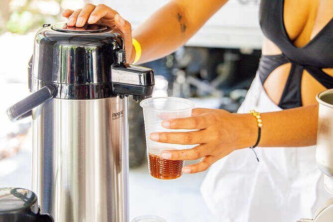 Art and Forest Way Combo Full Day Tour - Practical Details and What to Expect