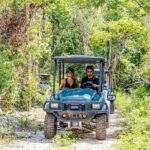 Art And Forest Way Half Day Tour - The Value and Practical Considerations