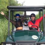 Art And Forest Way Half Day Tour - The Practical Details