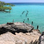 Art, Beach and Culture Island Tour with Kini Kini - Frequently Asked Questions