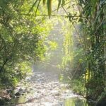 Artisan Puertorrican Winery and Distillery Tour - Detailed Breakdown of the Tour Experience