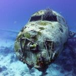 Aruba 2-Tank guided Dive for certified divers / own equipment - The Practicalities and Value