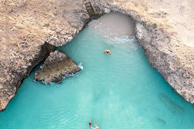 Aruba Cave Pool and Beach Tours - What You’ll Love About This Tour