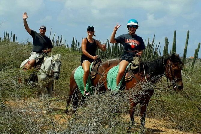 Aruba Countryside: Horseback Adventure to Urirama Cove - Authenticity and the Real Experience