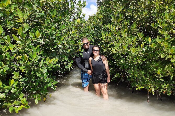 Aruba Glass Bottom Kayak Tour through the Mangrove Forest - Practical Details and Tips