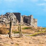 Aruba Island Sightseeing Tour - Who Should Consider This Tour?