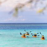 Aruba Kayak Explorers - Why This Tour Delivers Value