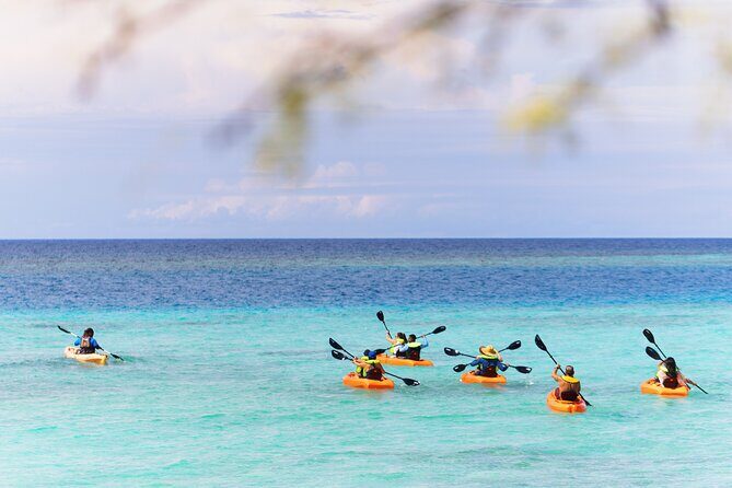 Aruba Kayak Explorers - Why This Tour Delivers Value