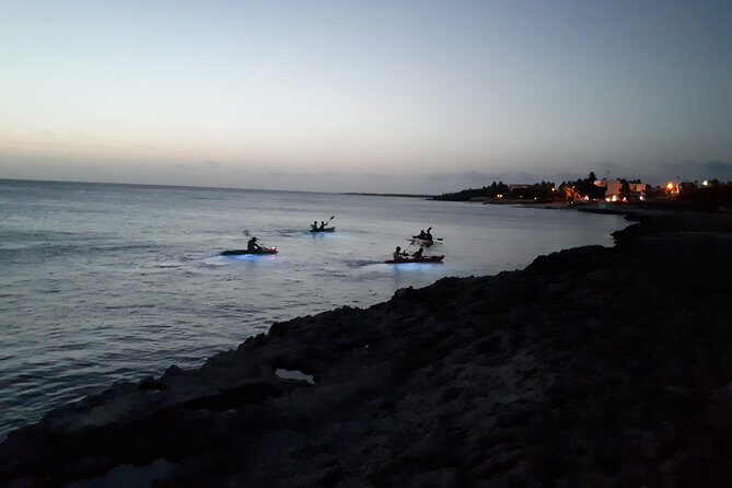 Aruba Night Glass Kayak Tour - Authentic Experiences and Highlights
