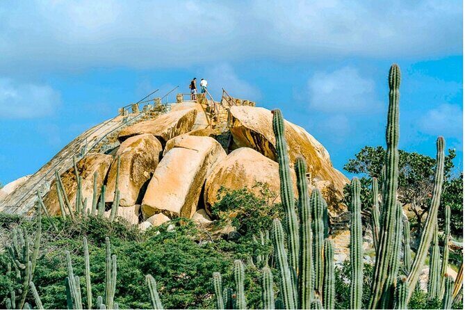 Aruba Northcoast UTV Afternoon Tour - Final Thoughts