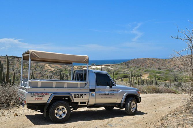 Aruba Outback Safari Jeep Tour - Lighthouse, Arikok & Conchi Pool - Who Will Benefit Most from This Tour?