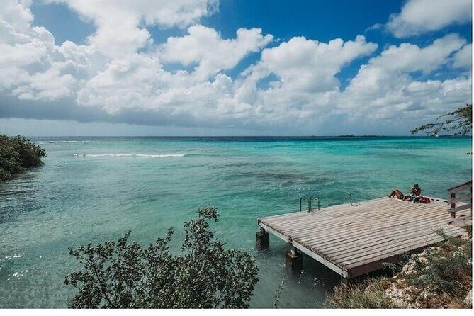 Aruba PADI Scuba Diving Program Non Certified Divers - The Experience: What You Can Expect