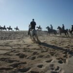 Aruba Private, 2 Hour Horseback Riding Tour For Advanced Riders - What the Reviews Say
